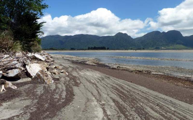 Collingwood Motor Camp | Full Service Camp | New Zealand